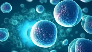 免费的新药情报数据库 - 药品查询、药品数据库、医药数据